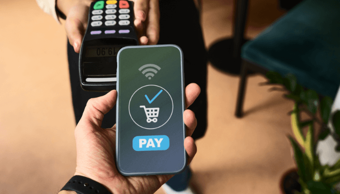 Mercurie Launches Naira Payment Solution for Nigerian Businesses ...